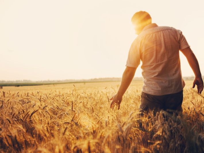 Everything You Need to Know About the Barley Planting Season - Floreo